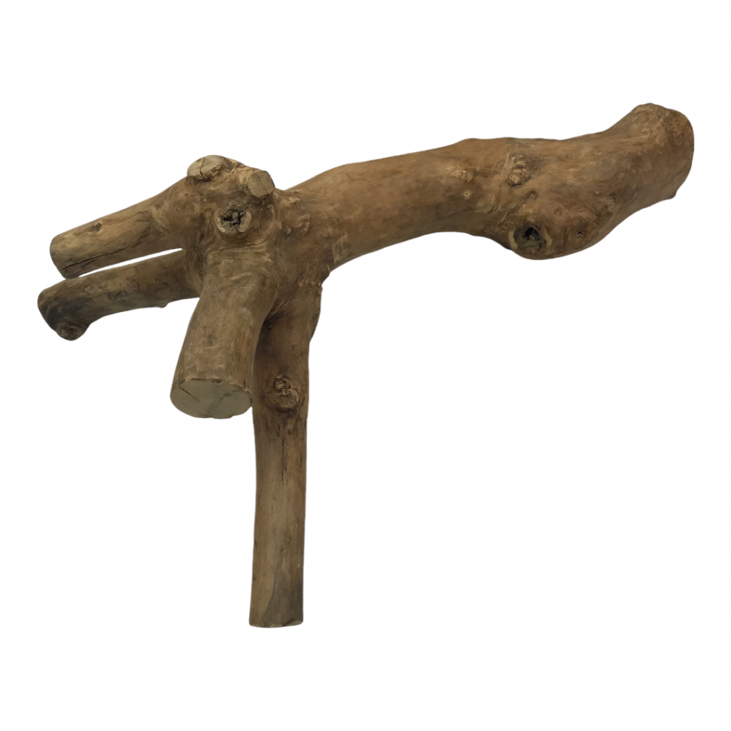 BRANCHES – Nino's Java