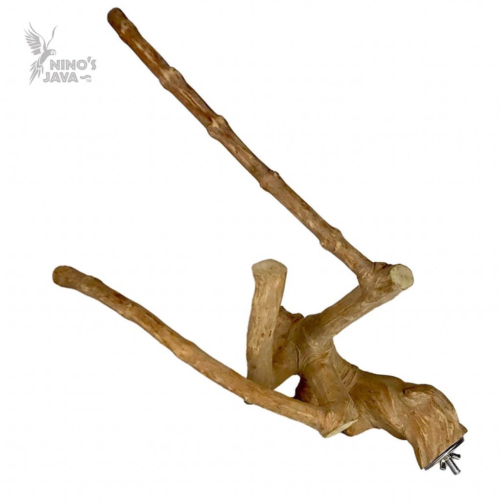 MULTI BRANCH PERCH – Nino's Java